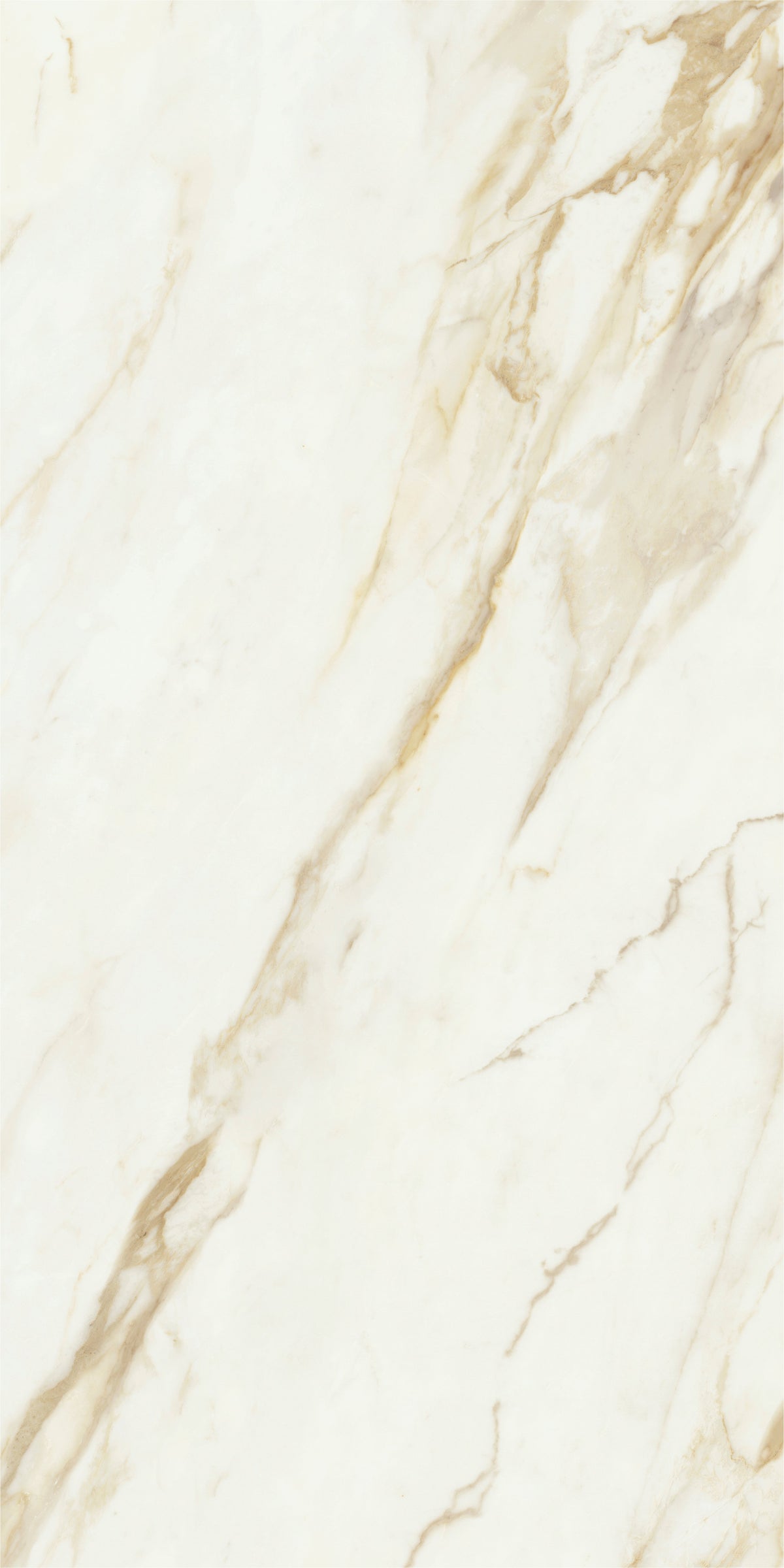 Adaggio Gold Pulido 80x160 Floor&Wall Bathroom Kitchen Tiles — Elite ...